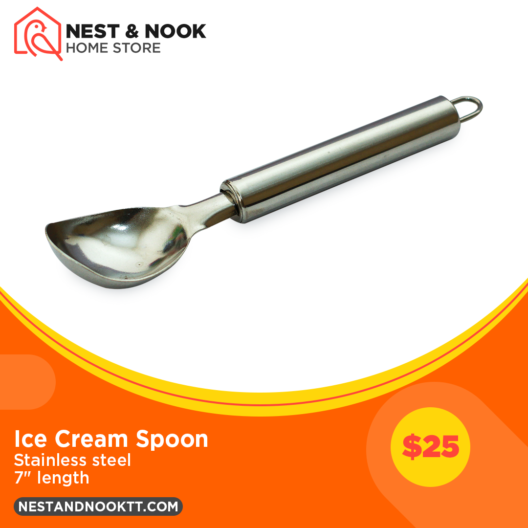 Stainless Steel Ice Cream Spoon – Nest & Nook Home Store